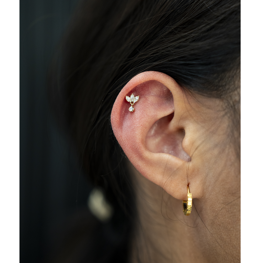 Professional & Luxury Body Jewelry | Steel n ink